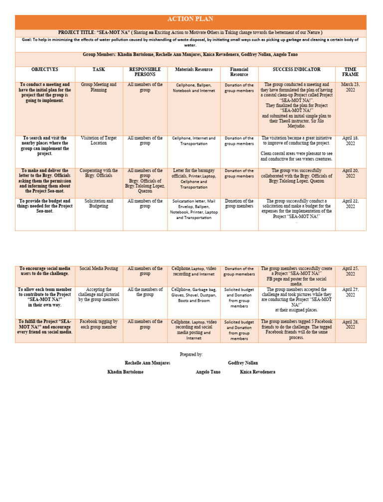 CST Action Plan Template | PDF | Mass Media | Internet