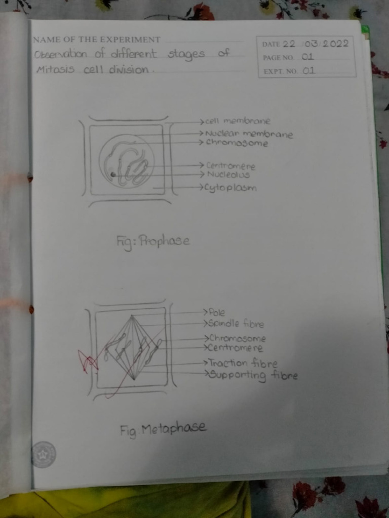 HSC Biology 1st Paper All Practicals | PDF
