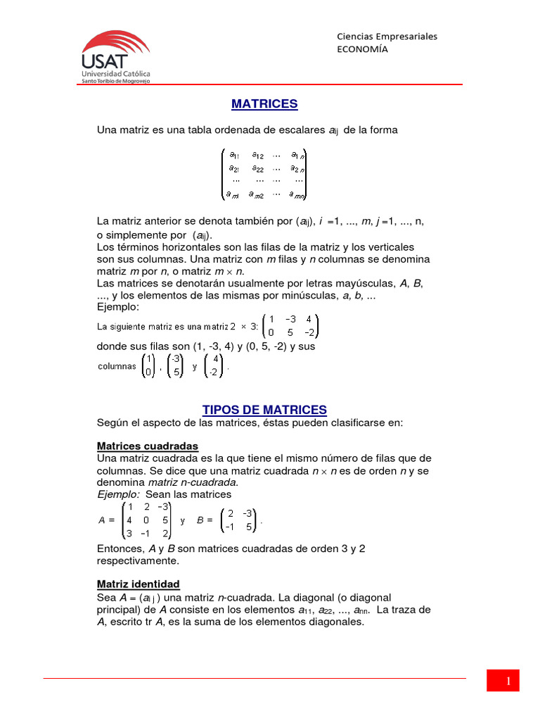 Matrices Teoría Ejemplos | Descargar gratis PDF | Matriz (Matemáticas) | Funciones y mapeos