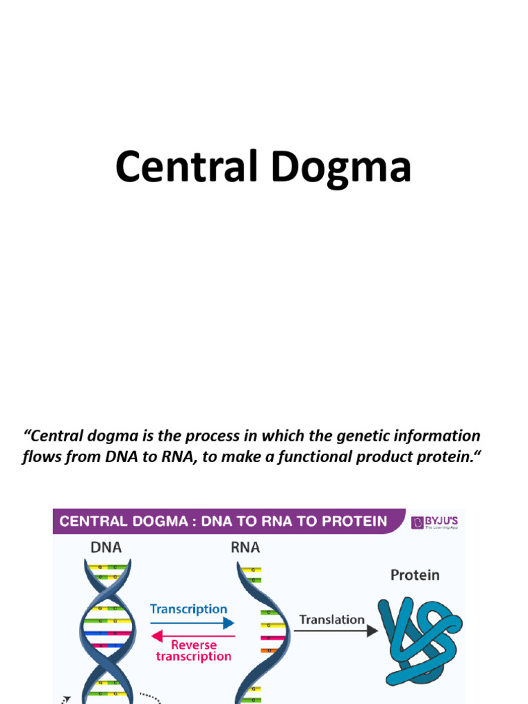 Central Dogma | PDF | Science & Mathematics | Computers