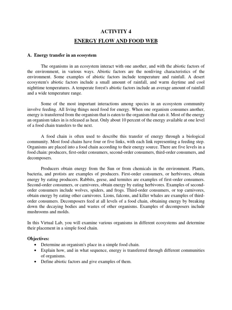 Activity 4 - Energy Flow and Food Web | PDF | Food Web | Ecosystem