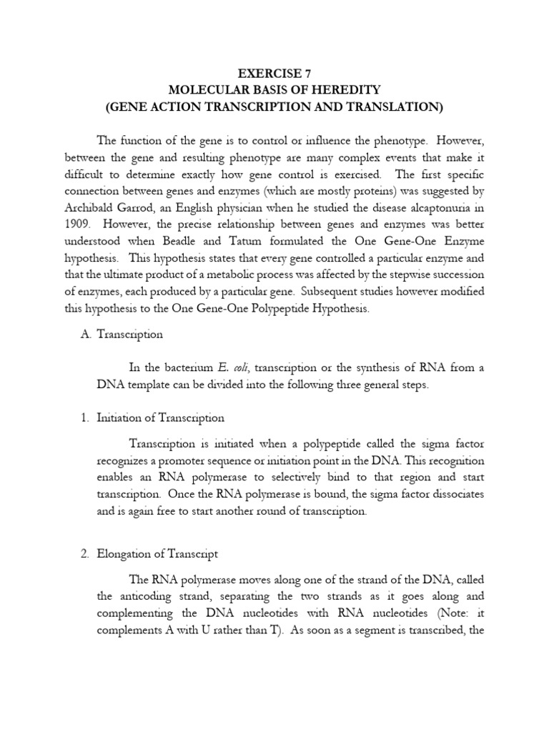 EXERCISE 7. Molecular Basis of Heredity Gene Action Transcription and ...