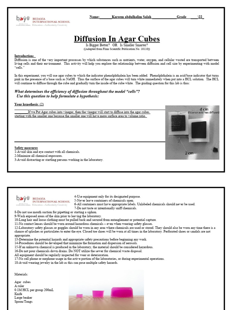 7.02agar Cube Lab | PDF | Science & Mathematics