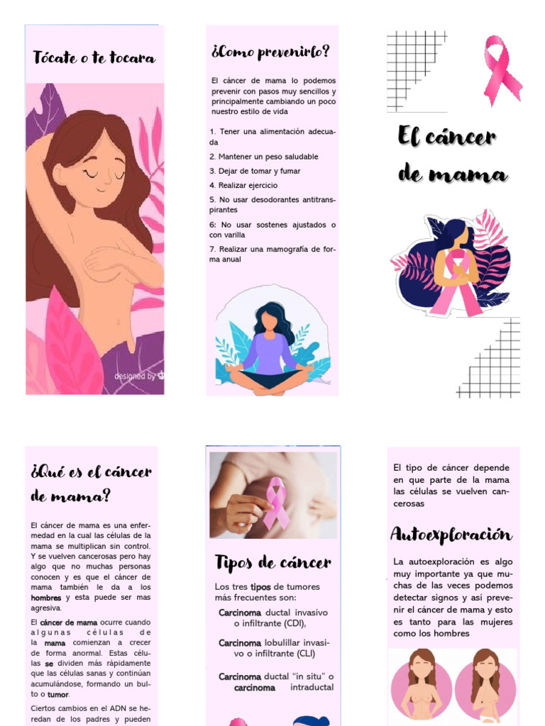 Folleto Cancer de Mama | PDF