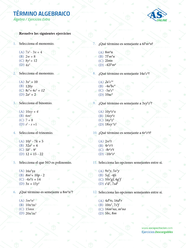 2.1 Ejercicios Extra Término Algebraico y Términos Semejantes | PDF