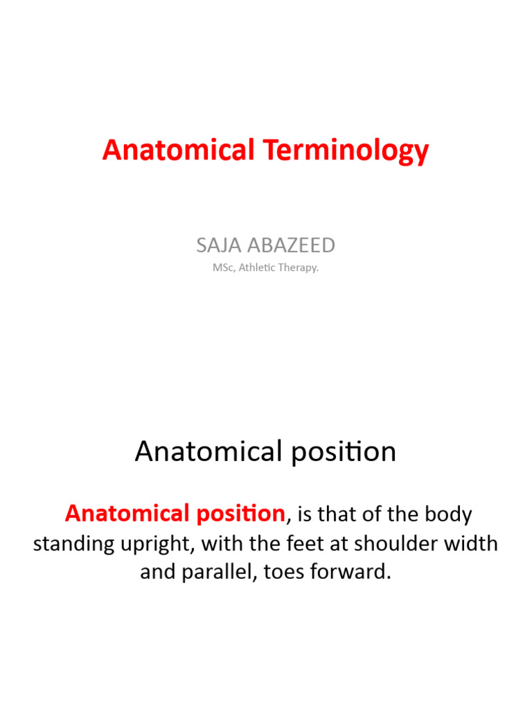Basic Anatomical Terminology Guide | PDF | Language Arts & Discipline ...