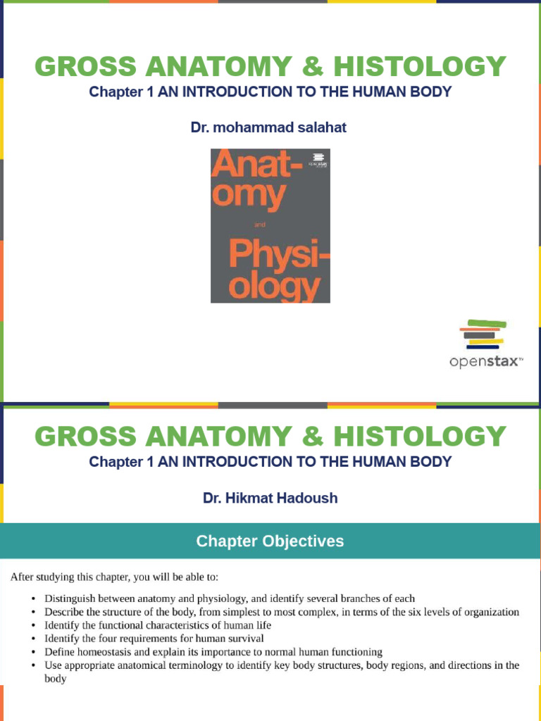 Anatomy Ch01 An Introduction To The Human Body Download Free Pdf