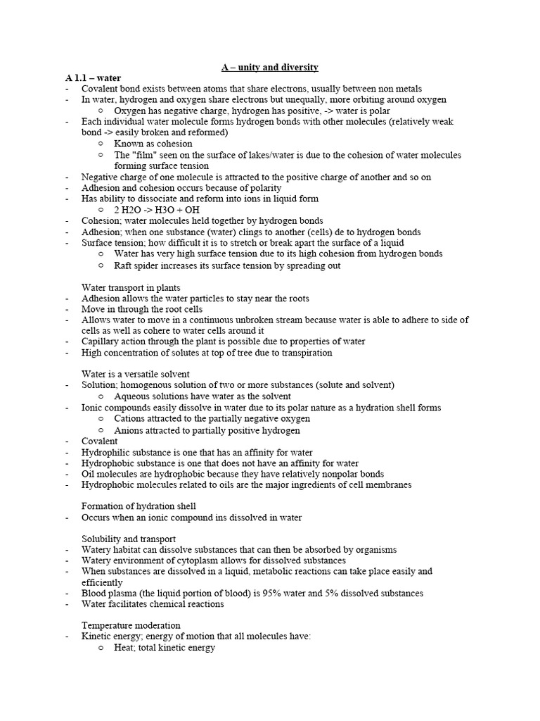 Ib Biology Year 11 Term 1 Notes | PDF | Enzyme | Rna