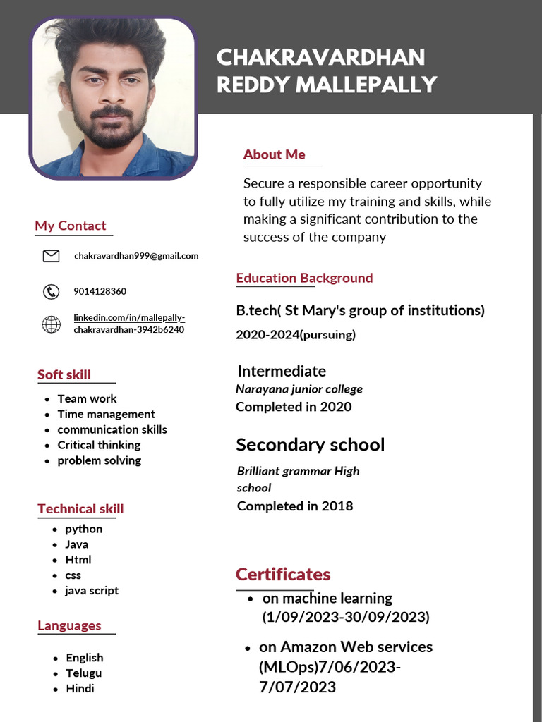 Aspiring Tech Professional Profile | PDF