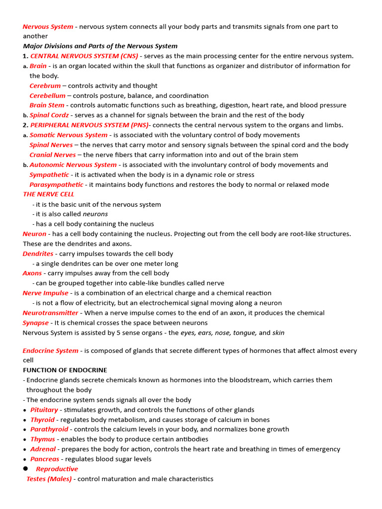 SCIENCE-REVIEWER. | PDF | Nervous System | Central Nervous System