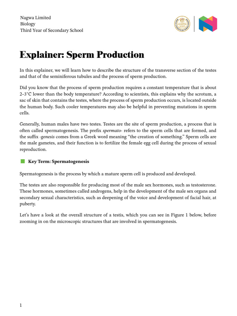 230197202384_explainer | PDF