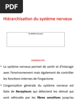 Rôle et anatomie du centre ovale cérébral | PDF | Cerveau | Cortex cérébral