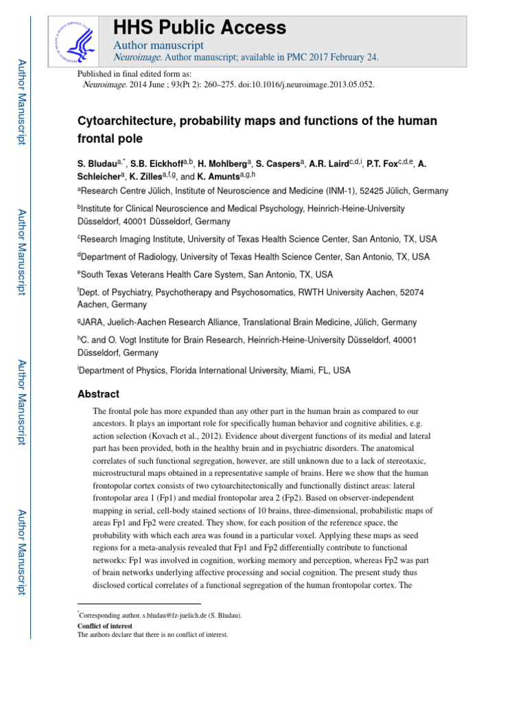 Cytoarchitecture, Probability Maps and Functions of The Human Frontal Pole | PDF | Cerebral ...