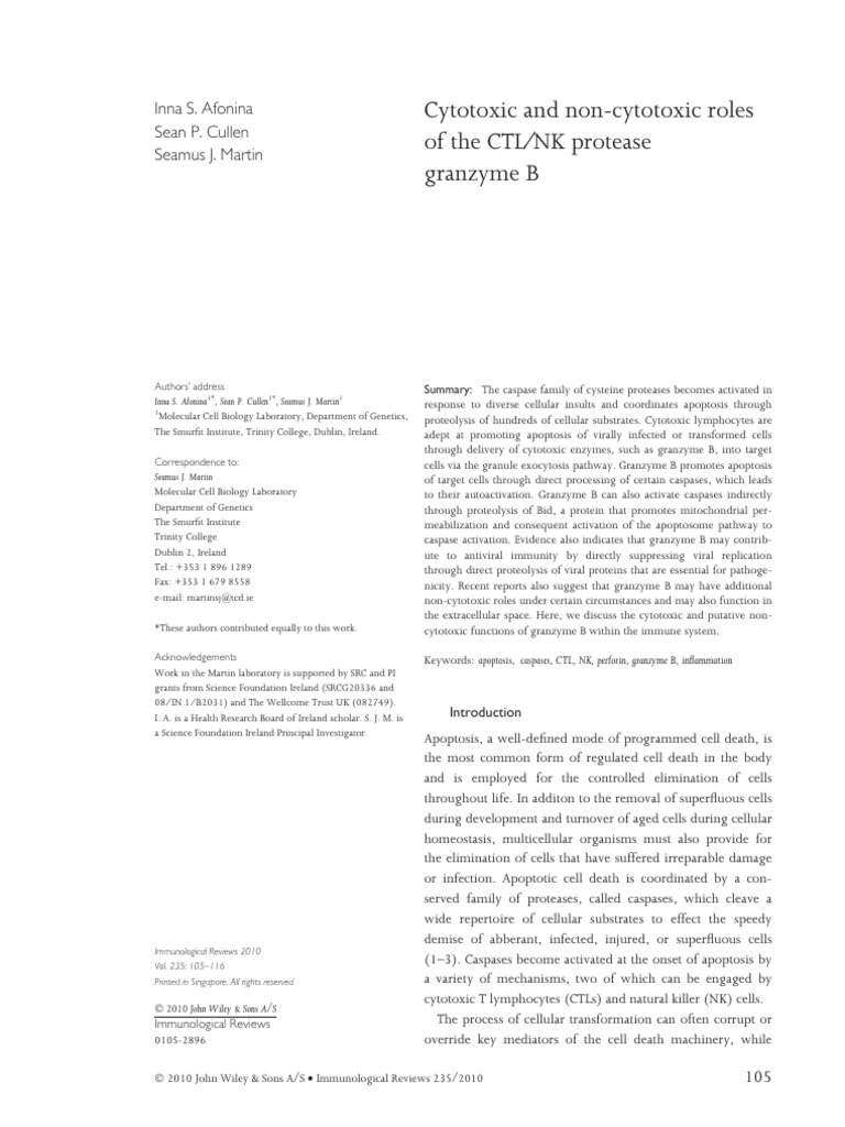 Cytotoxic and Non-Cytotoxic Roles of The CTL NK Protease Granzyme B ...