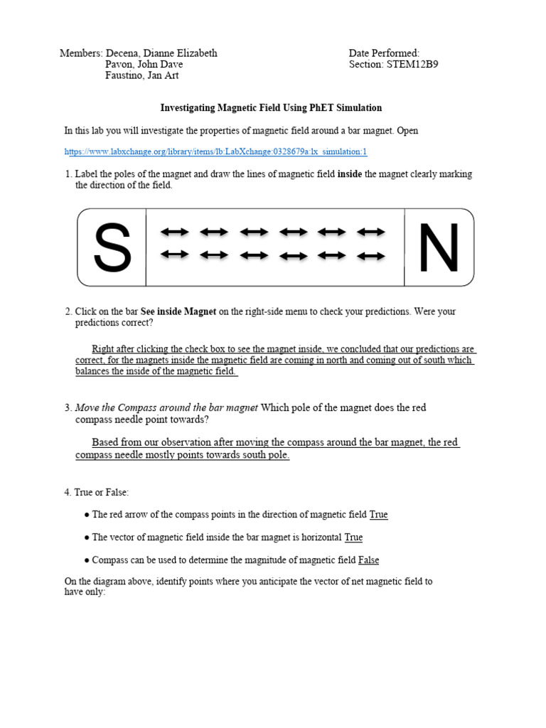 Group Activity - Investigating Magnetic Field | PDF