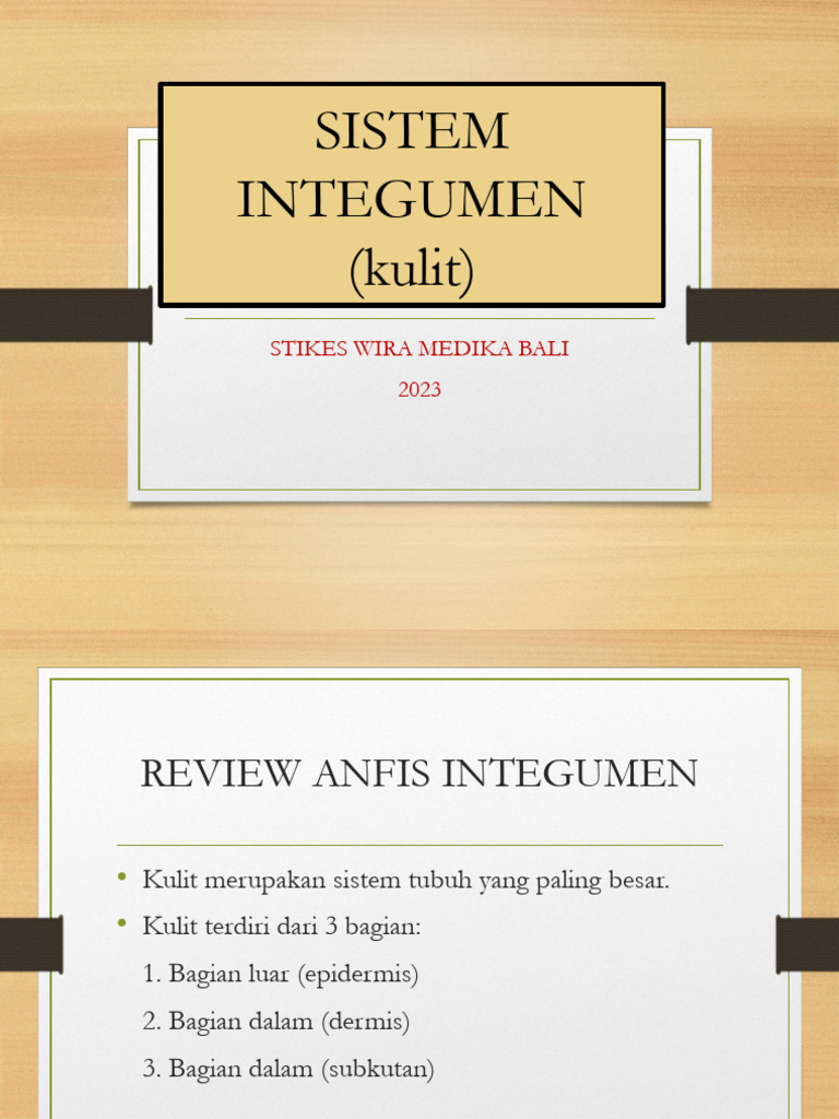 Sistem Integumen - Wika2023 | PDF