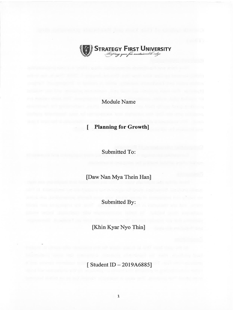 example of final assignment | PDF