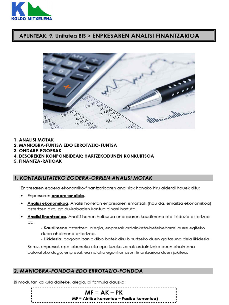 002 APUN Unit 9BIS Enpresaren Analisi Finantzarioa | PDF