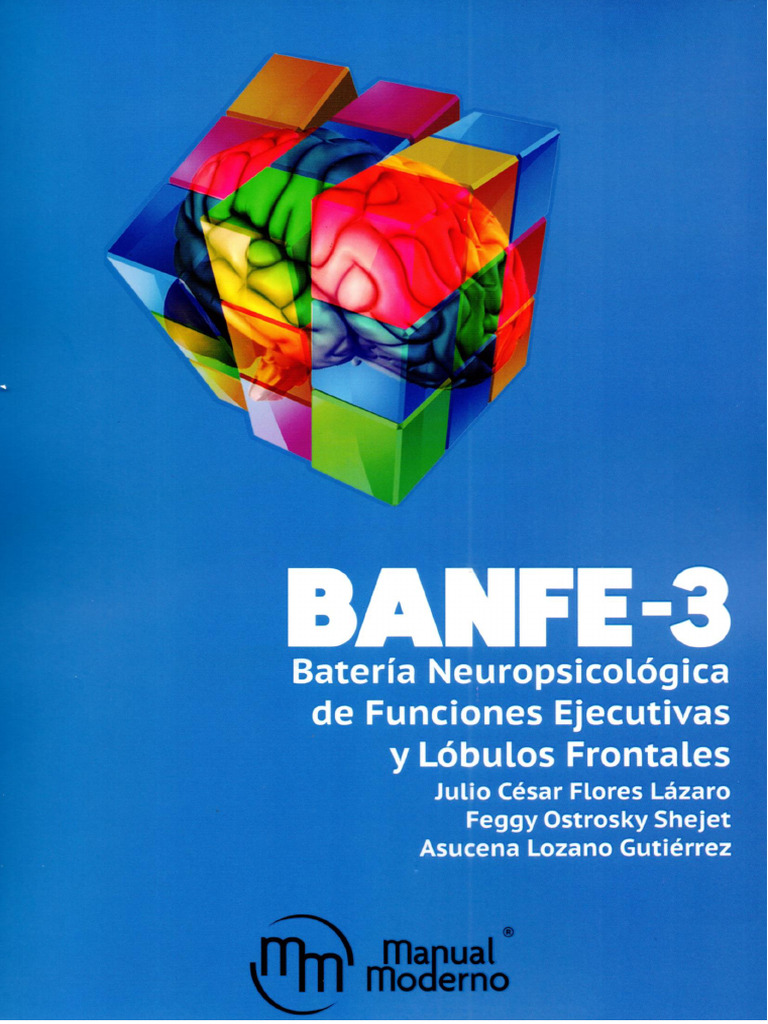 Manual Banfe 3 | PDF