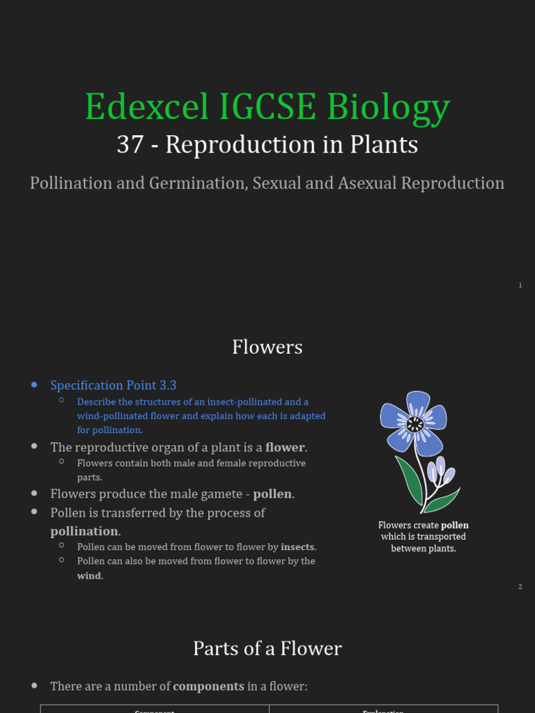 Igcse Biology Lecture 37 Reproduction In Plants Pdf Flowers Seed