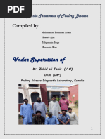 Poultry Necropsy Procedure Guide | PDF | Organ (Anatomy) | Gastroenterology