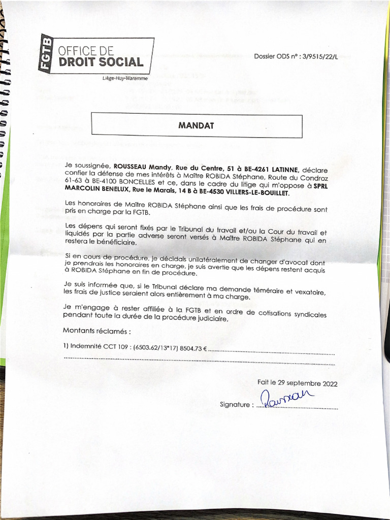 Mandat | PDF