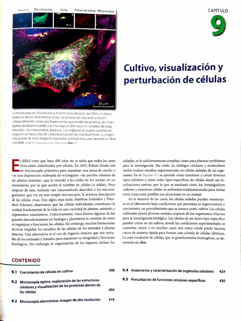 Capitulo 9 | PDF | Cultivo de células | Biología Celular)