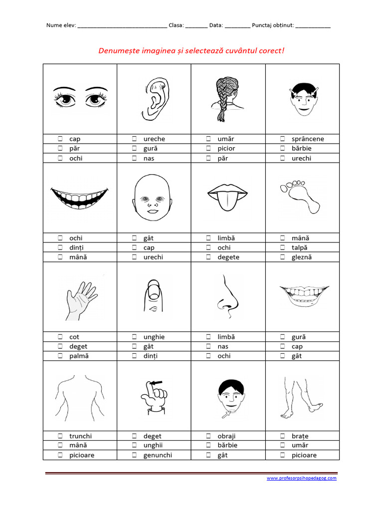 Corpul Uman Asociere Cuvant Imagine 2 | PDF