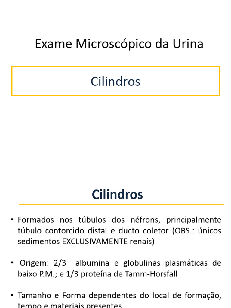 Aula - Ex. Mic. Urina - Cilindros | PDF | Proteínas | Núcleo celular