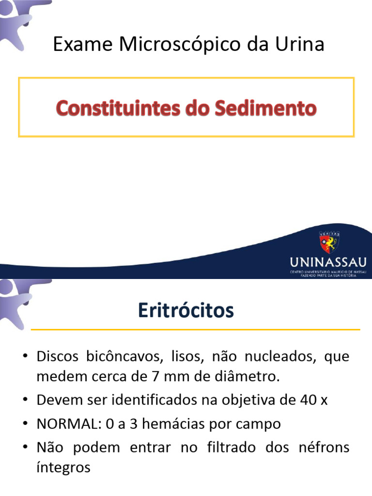Aula - Ex Mic. Urina - Constituintes Do Sedimento | PDF | Glóbulo ...