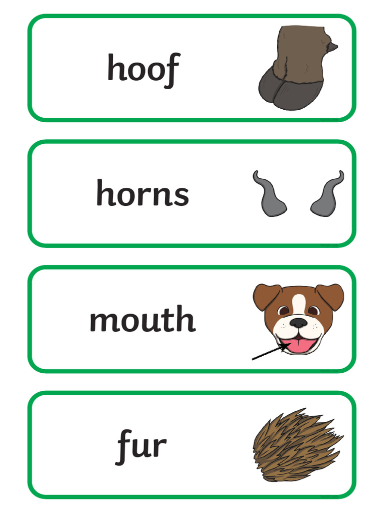 Bumble Farm Animal Body Parts Labels Ver 3[1] Copy | PDF