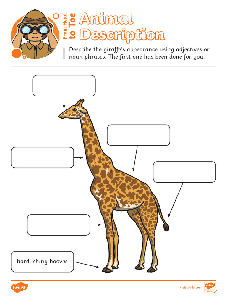 From Head To Toe Animal Description Worksheets Ver 1 | PDF | Adjective ...
