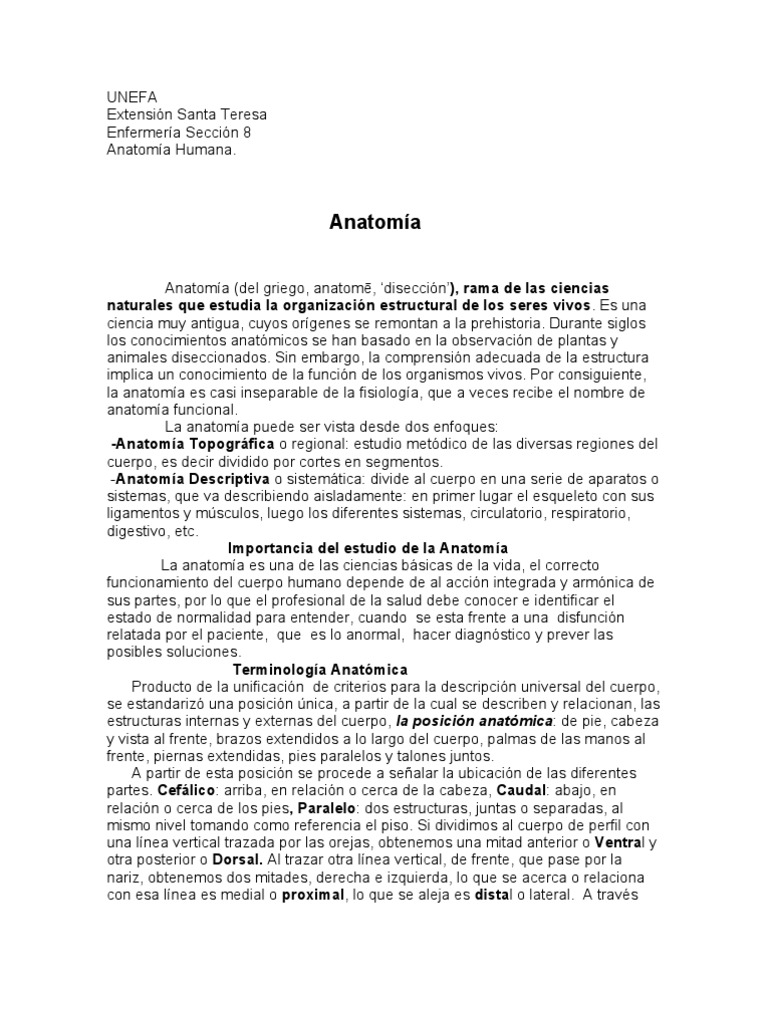 Anatomia, Conceptos Básicos. | PDF | Términos anatómicos de ubicación ...