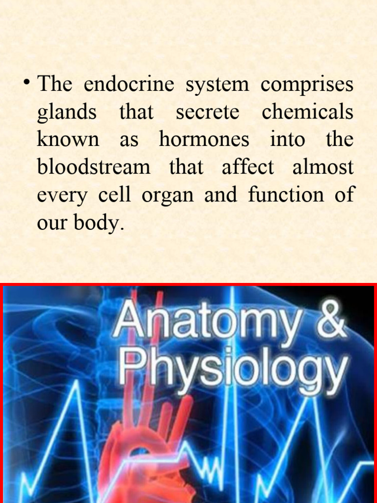 Endocrine System March 5 - 8, 2024 | PDF | Endocrine System | Luteinizing Hormone
