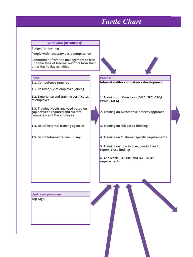 Internal Auditor Competence Turtle Chart | PDF | Audit | Internal Audit