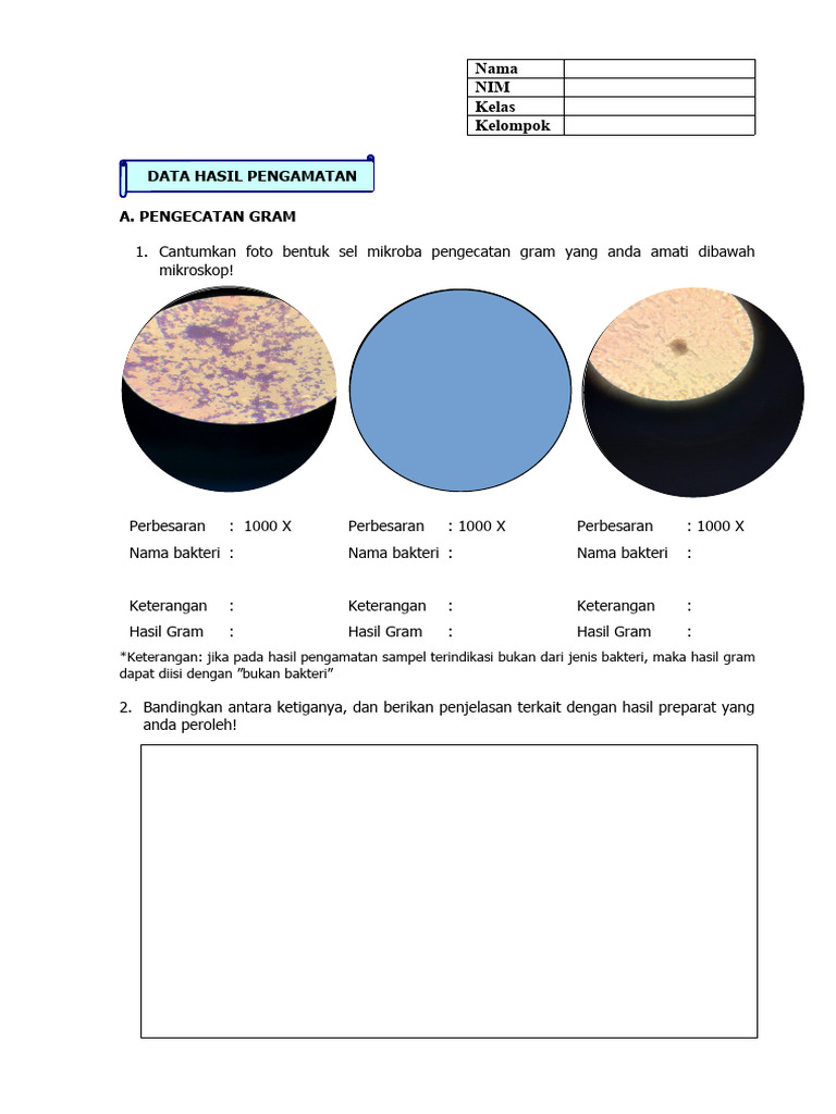 LKP Materi 4a Khamir, Katalase, Gram-1 | PDF