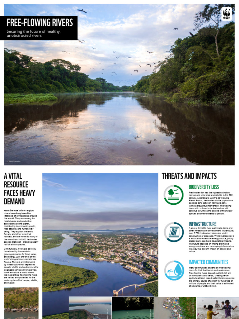 5gv8o8muc8 WWF Free Flowing Rivers Final | PDF | River | World Wide ...