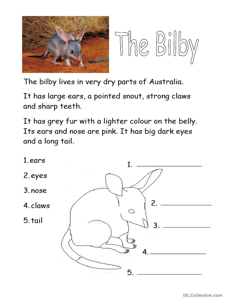 The Australian Bilby | PDF | Foreign Language Studies | Home & Garden