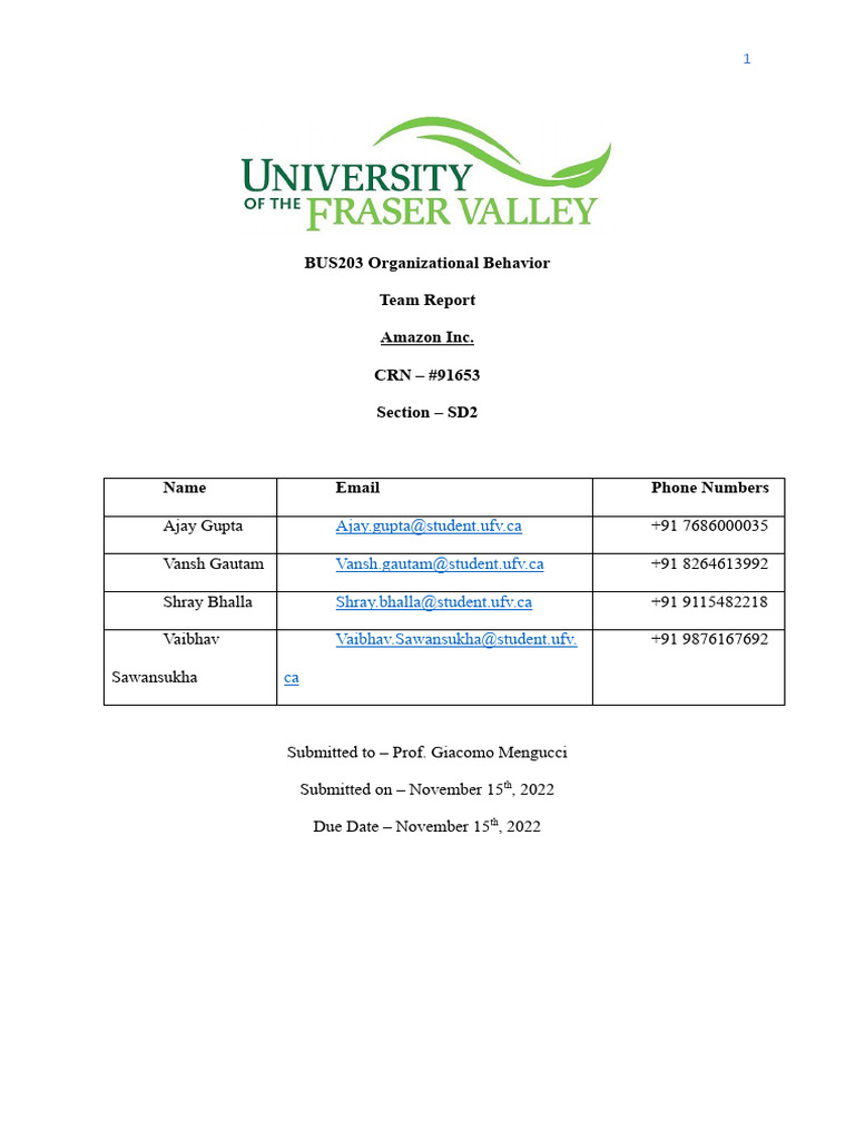 BUS203 - Team Amazon Report | PDF | Business