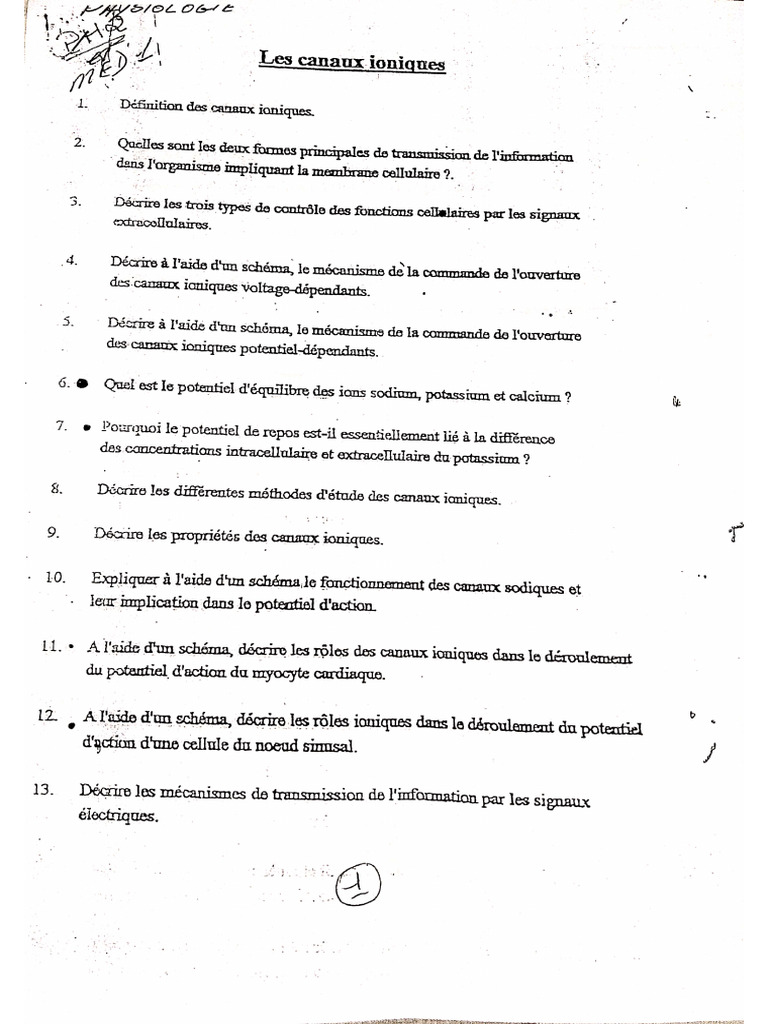 TD 1 Canaux Ioniques Neurone SNV | PDF