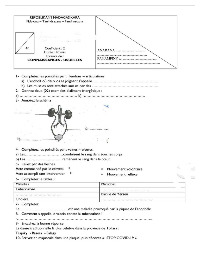 Type Sjet Cepe Cepe Compose3 | PDF