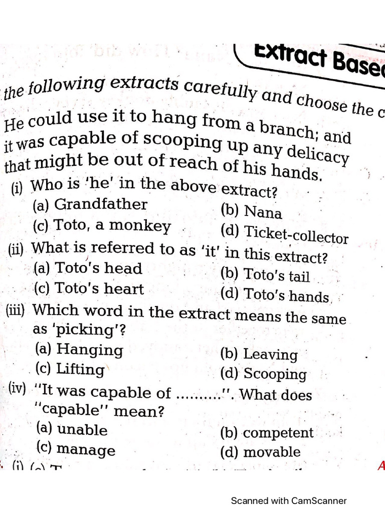 The Adventures of Toto | PDF