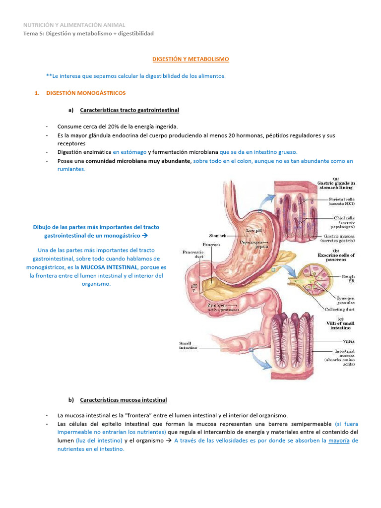 Tema 5 Nutri UCV | PDF