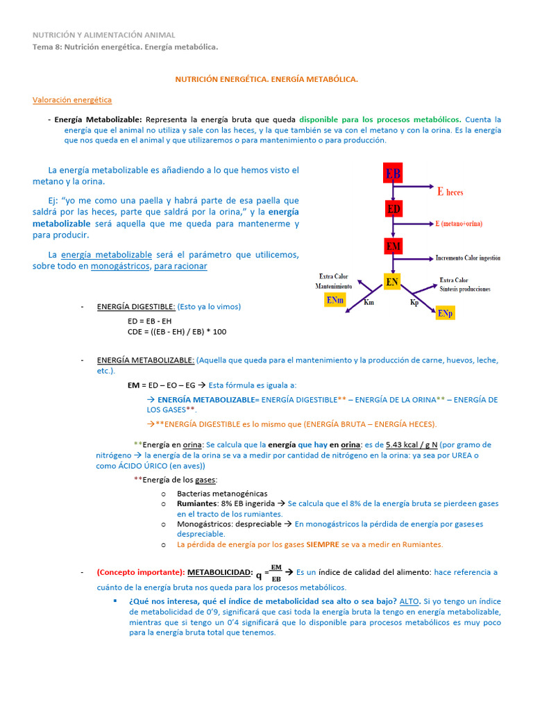 Tema 8 Nutri UCV | PDF | Orina | Metano