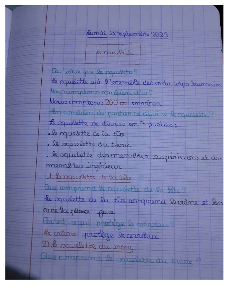 Le Squelette Cepe | PDF