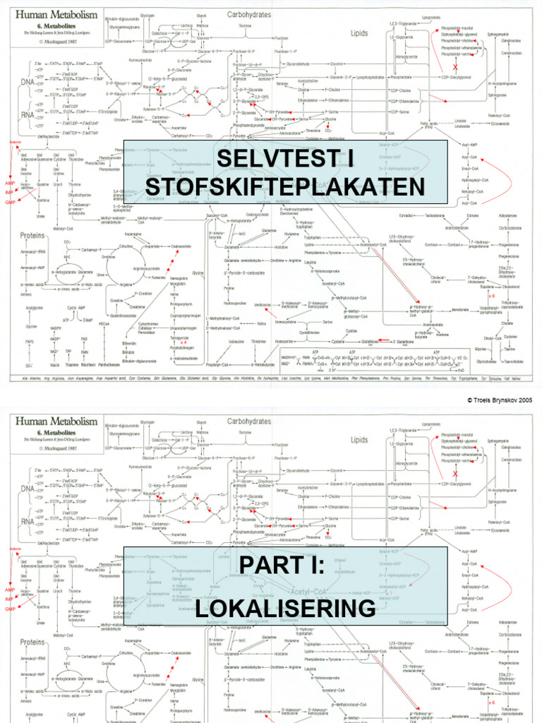 Biokemi metabolisme | PDF