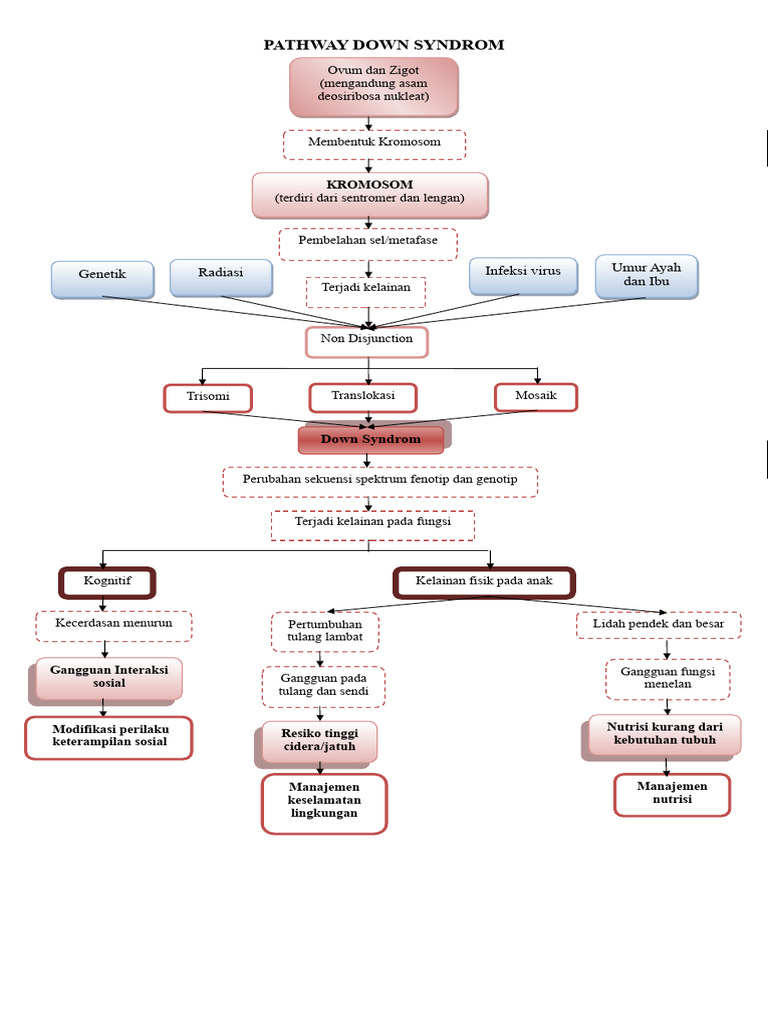 Pathway - Down - Syndrom - New Apriliani | PDF