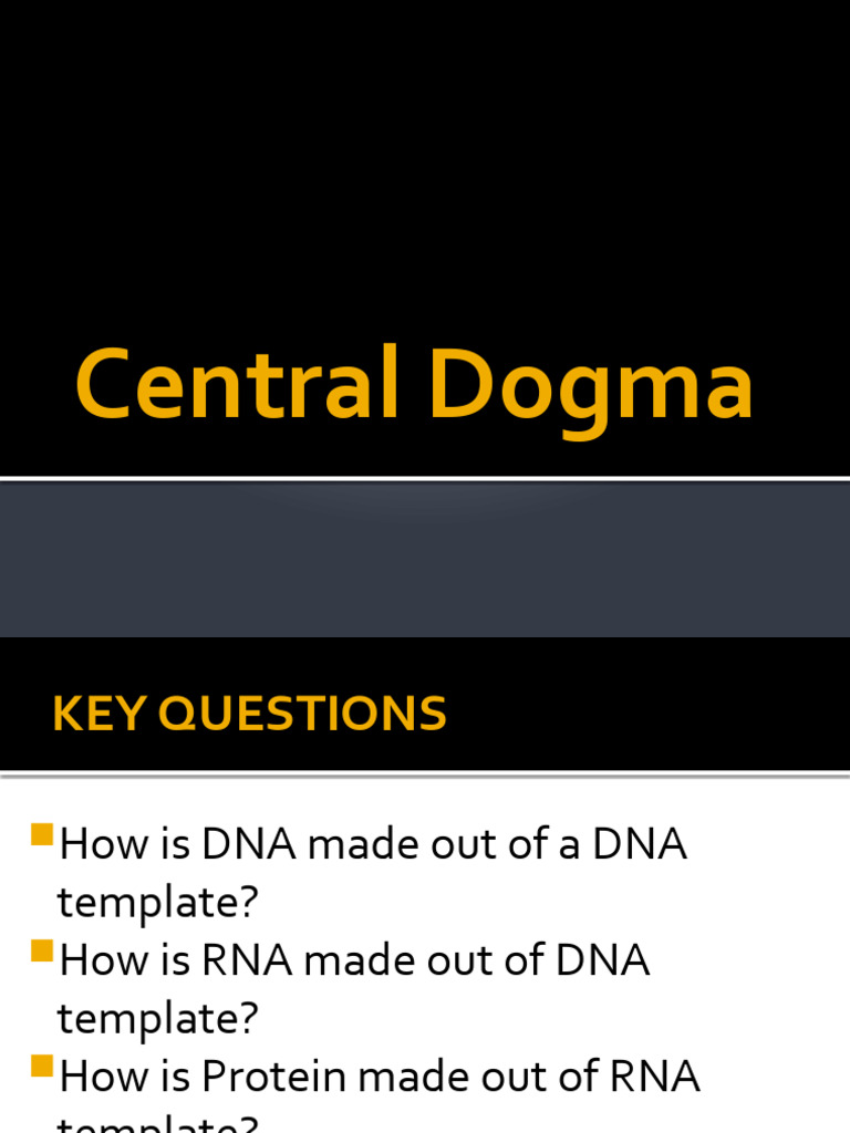 Lesson 7 Central Dogma | PDF | Dna Replication | Dna