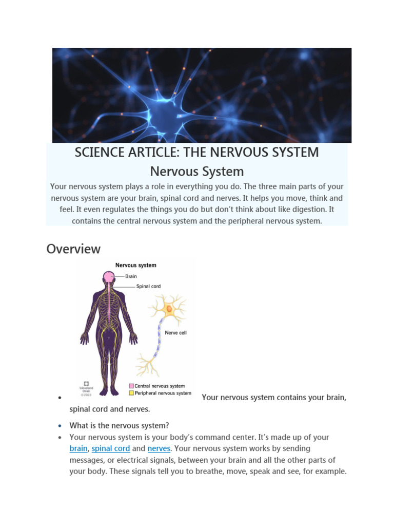 Science Article The Nervous System | PDF | Nervous System | Central ...