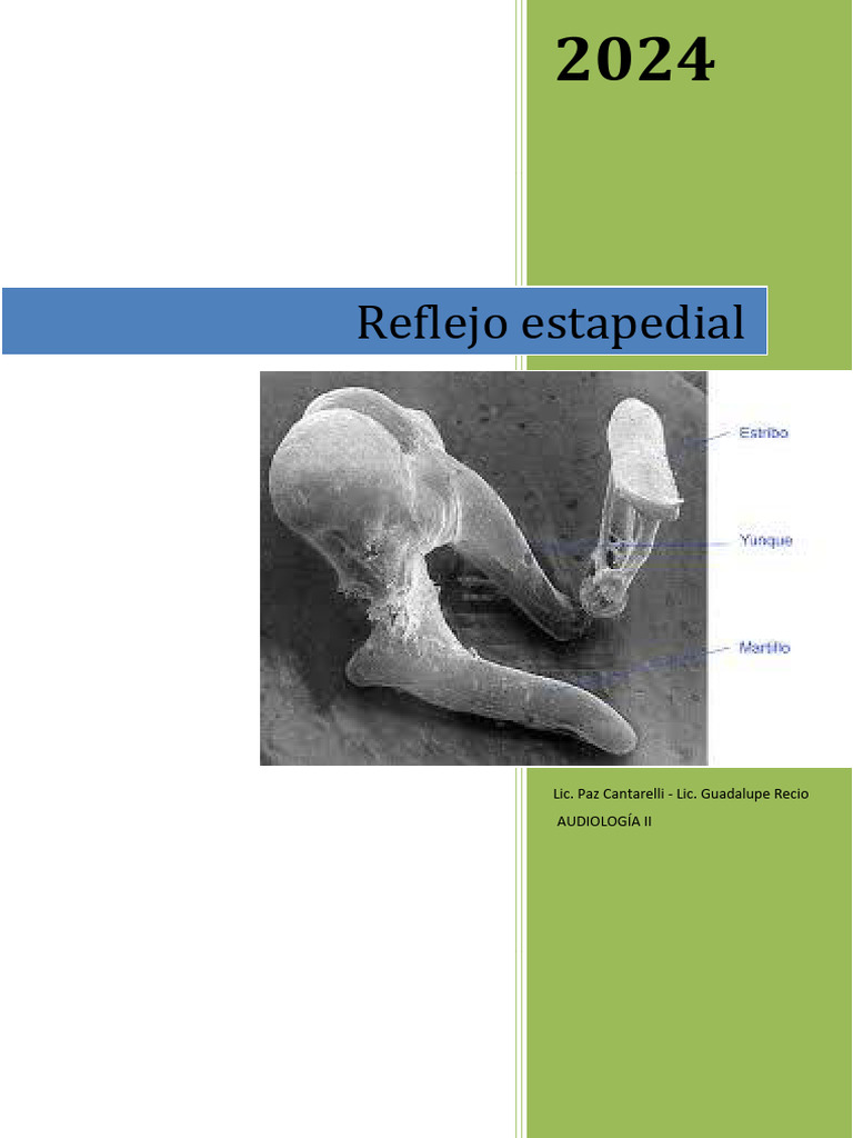 Reflejo Estapedial en Audiología | PDF | Oído | Escuchando